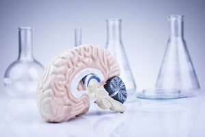 Four Real Life Chemistry Experiments You Can See Right Now